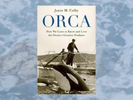 Orca - Laura Joy Lloyd