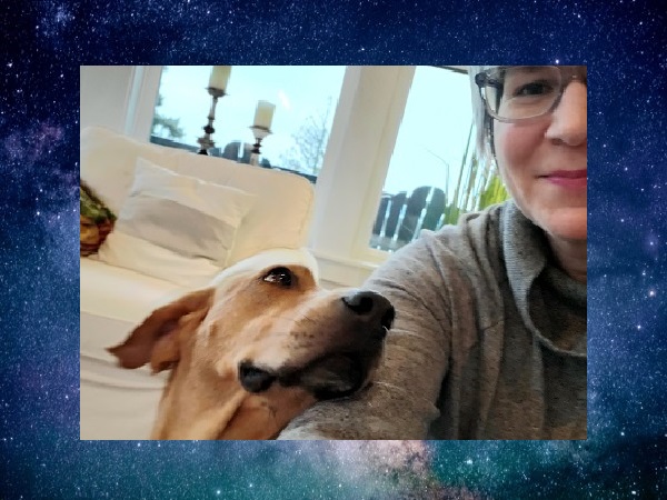 Why an Introverted Writer Continues to be on Social Media - Laura Joy Lloyd